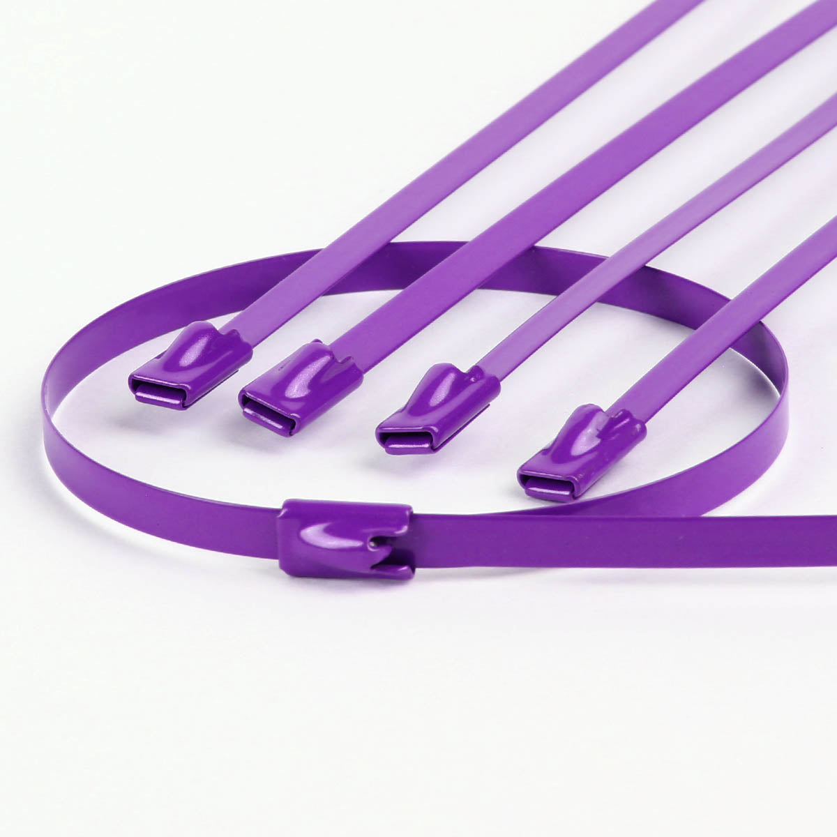 Universal 300mm x 5mm Self-Locking Zip Ties - Stainless Steel – CA Auto ...
